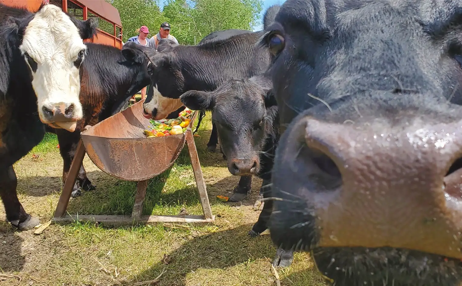 Zero Food Waste | Loop Resource